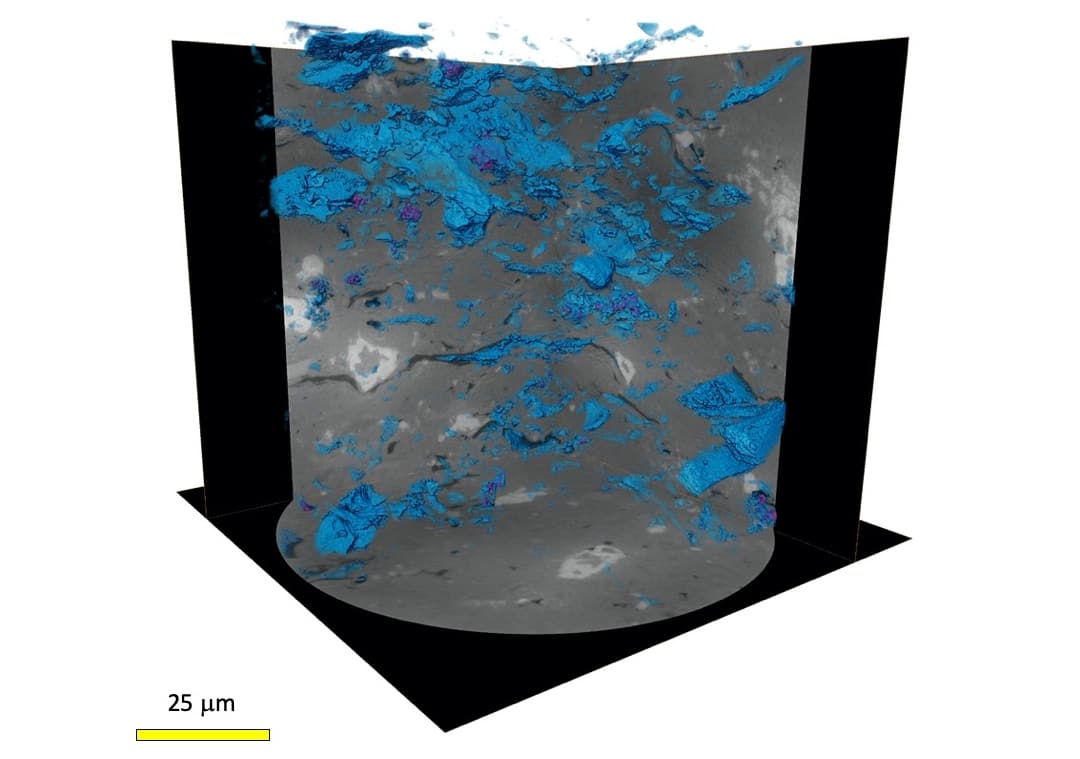Shale rock multi-scale imaging by X-ray micro- and nano-tomography