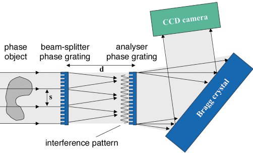 Differential X-ray Phase-contrast Imaging Using a Shearing Interferometer