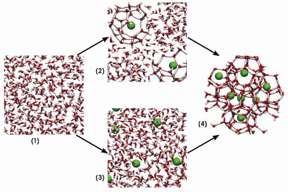Revealing the hydrate formation process at the water-CO2 interface