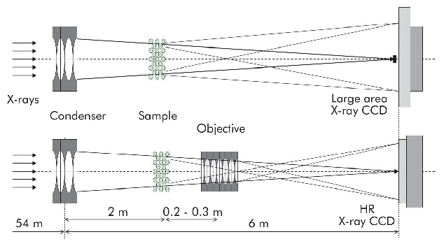 Coherent high resolution X-ray microscopy: a new tool for mesoscopic ...