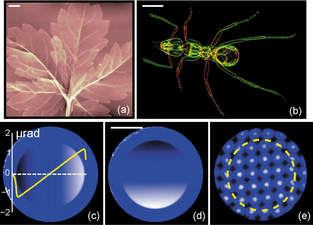 Two-dimensional grating interferometer
