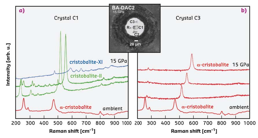 Crystal structure of SiO2 polymorph cristobalite X-I: bridging the gap towards the seifertite enigma