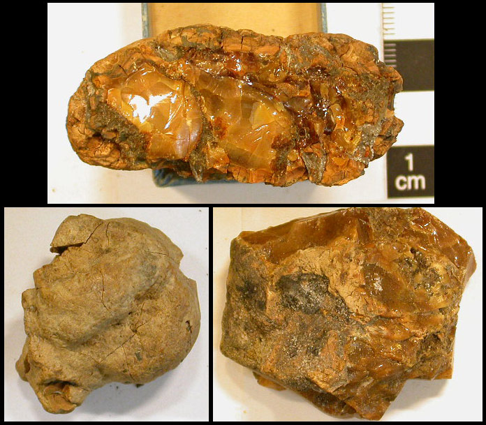 ESRF X-rays reveal clues about life 100 million years ago trapped in ...