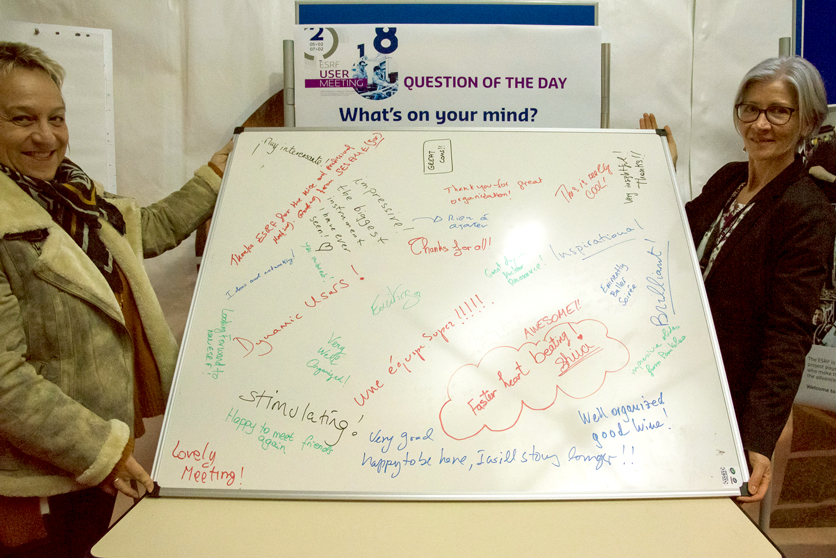 UM2018: Silja Flenner wins Best Poster Award