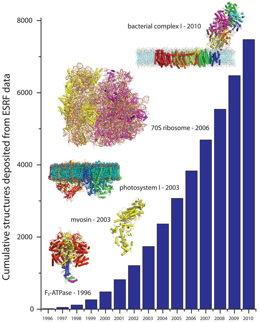 A grand year for European structural biology