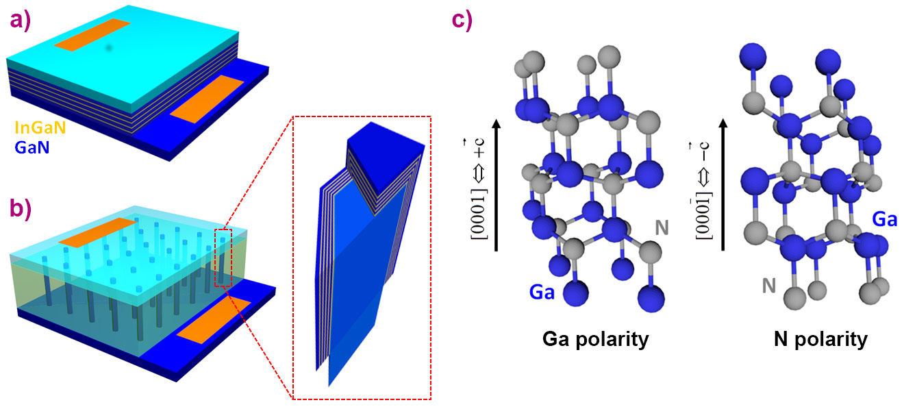 Polarity domains in GaN wires mapped at the nanoscale