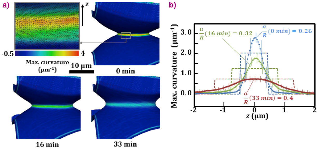 Fast in situ nanoimaging of particle sintering