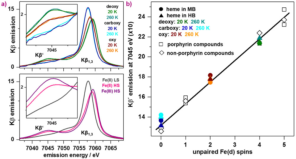 X-ray spectroscopy reveals iron spin state in oxygenated hemoproteins