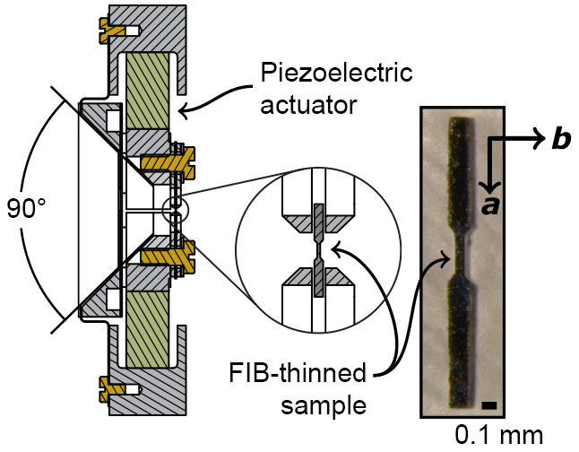 3D long-range charge order in a uniaxially-strained cuprate superconductor
