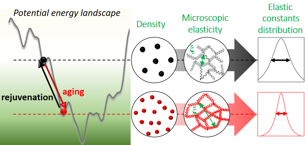 Evolution of the elastic properties of glassy amber in 110 million ...