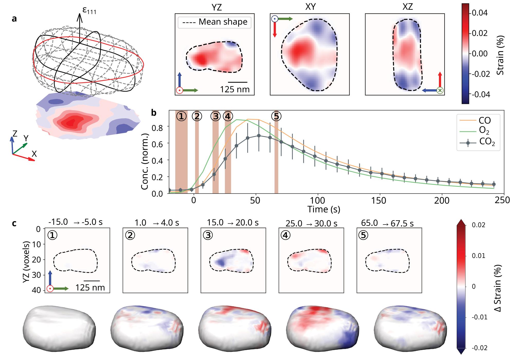 High-speed X-ray imaging of catalyst nanoparticles during oxidation ...