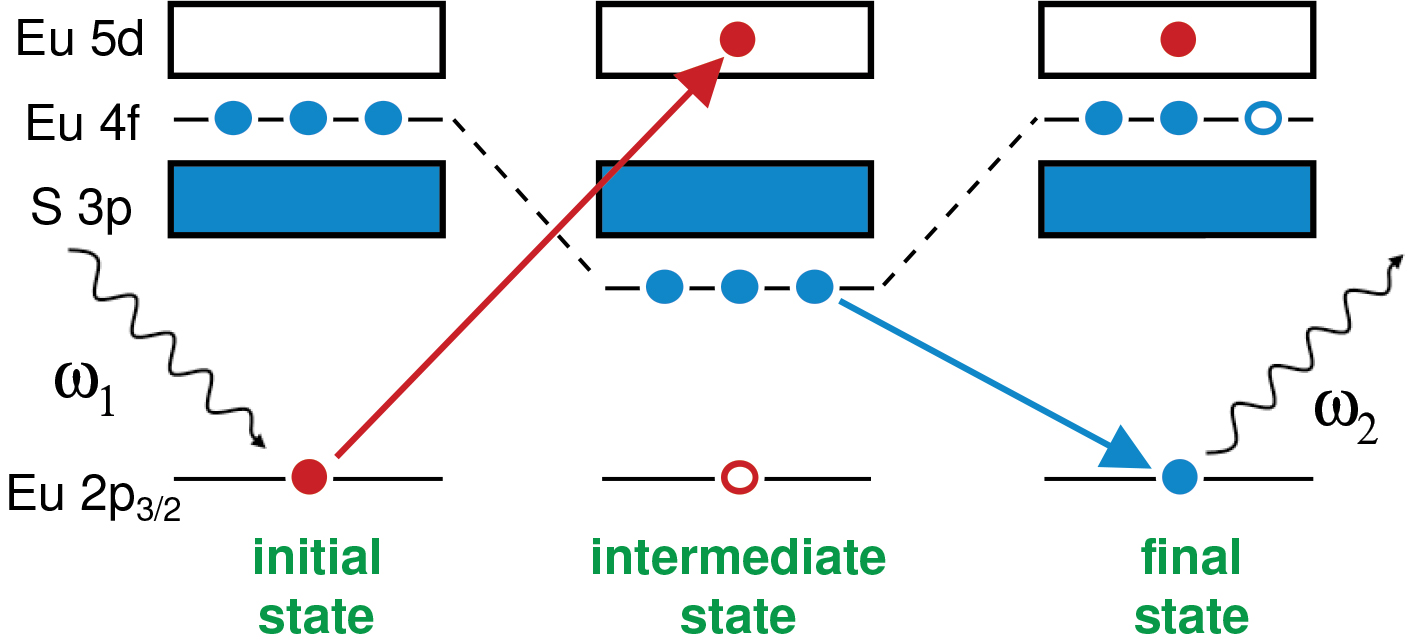 Magnetic excitons of EuS revealed by resonant inelastic X-ray scattering