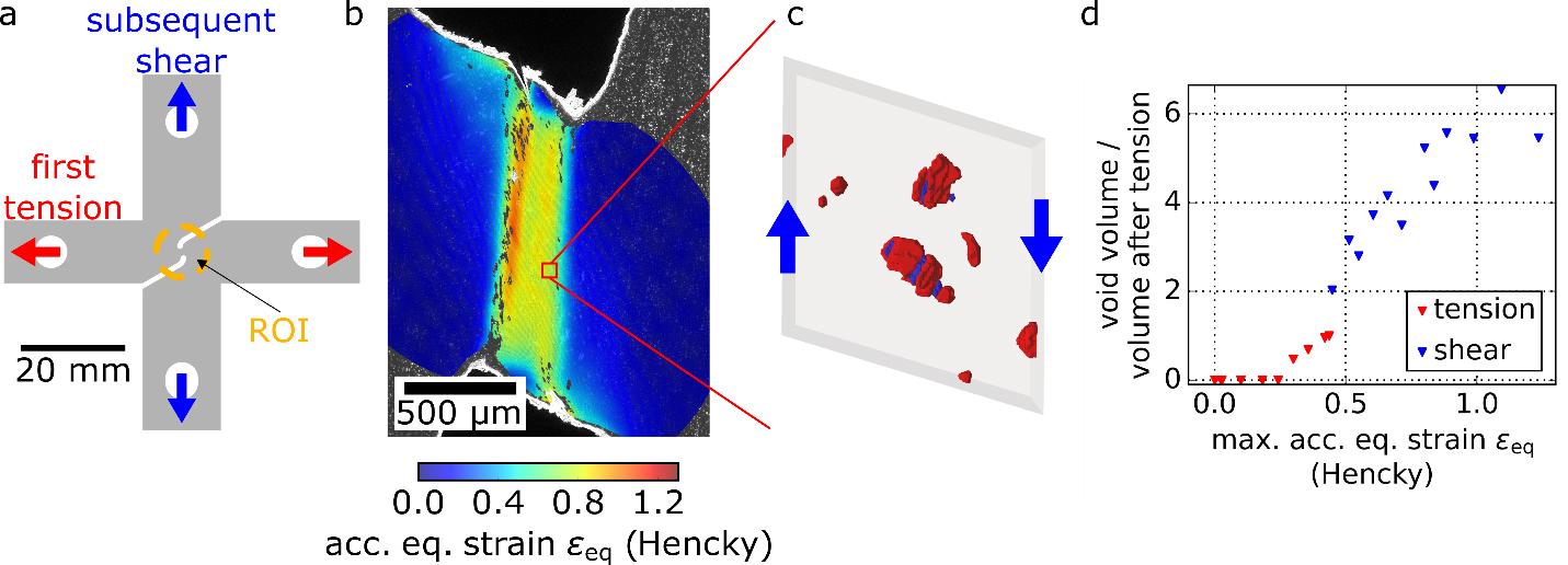 In situ laminography reveals particle-induced damage growth under shear