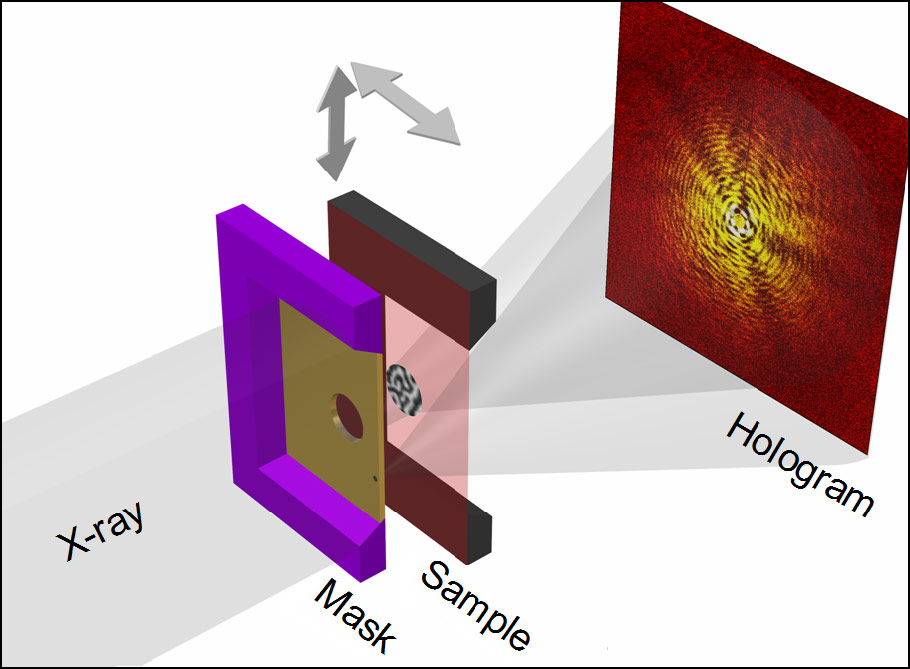 Soft X-ray holographic microscopy