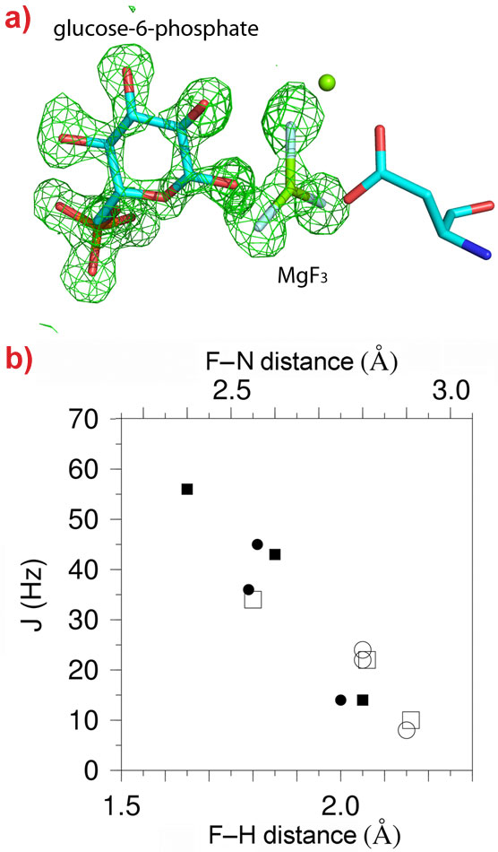 The transition state of enzyme phosphoryl transfer revealed by ...