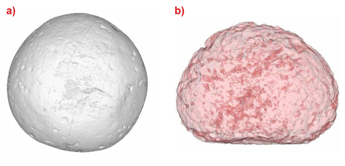 Fusion reactor pebble bed studied by X-ray tomography