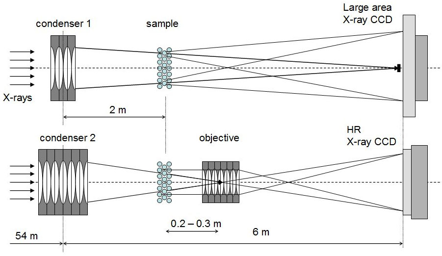 Coherent high-resolution transmission X-ray microscopy: a new tool for ...