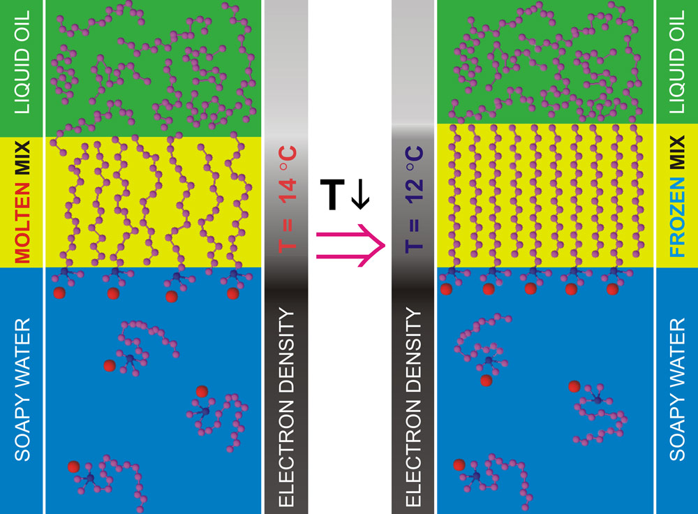 When oil and water do mix: the nanoscale structure of a surfactant ...