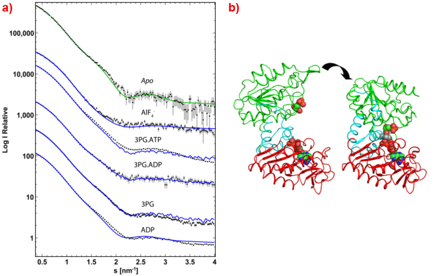 Bio-SAXS at ID14-3: looking at proteins in their native state – a ...