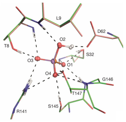 protein crystal structure resolution
