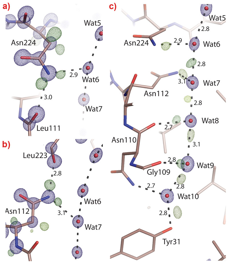 Cellular water transport: atomic level insight provided by the first ...