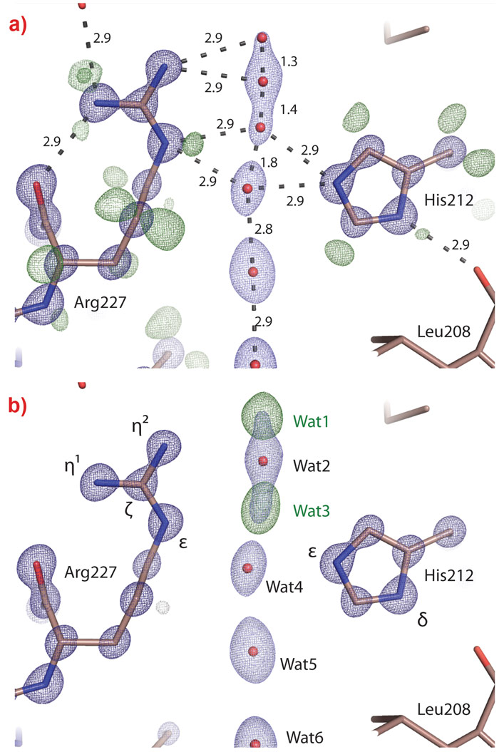 Cellular water transport: atomic level insight provided by the first ...