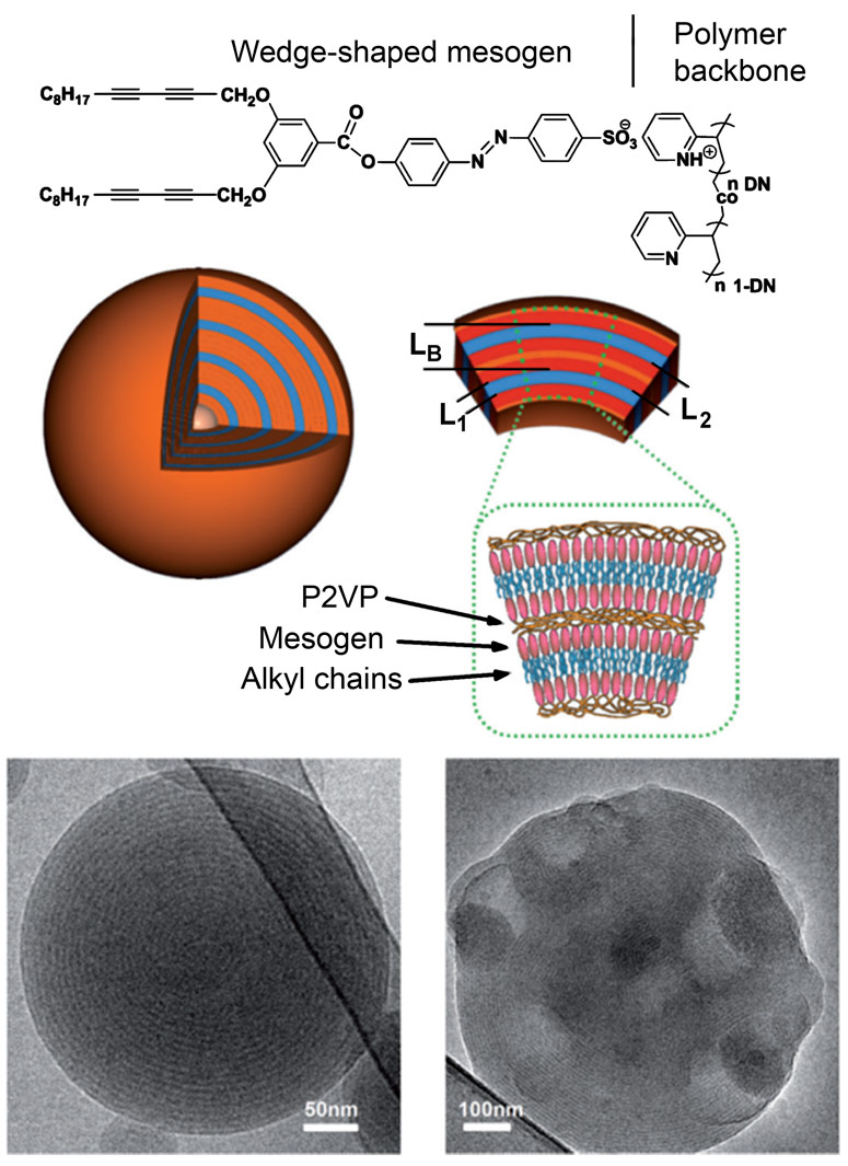 Assembling molecular wedges: the route towards new nano-structured ...