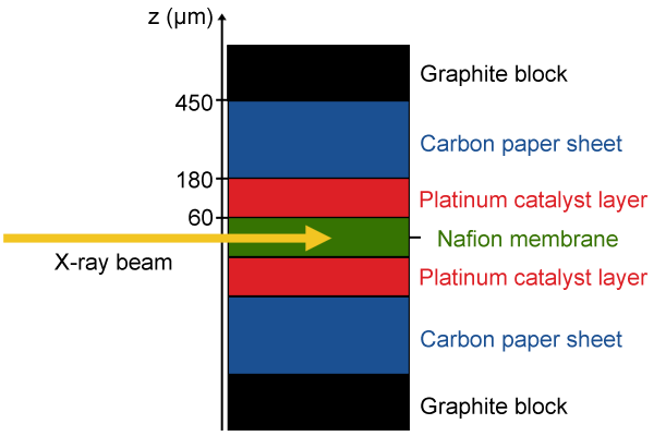 Hydration dynamics of a Nafion membrane in a running fuel cell