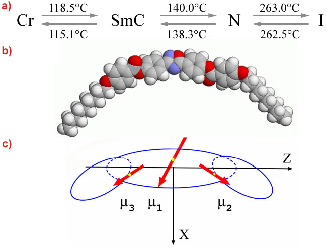 A novel nematic liquid crystal phase with ferroelectric response