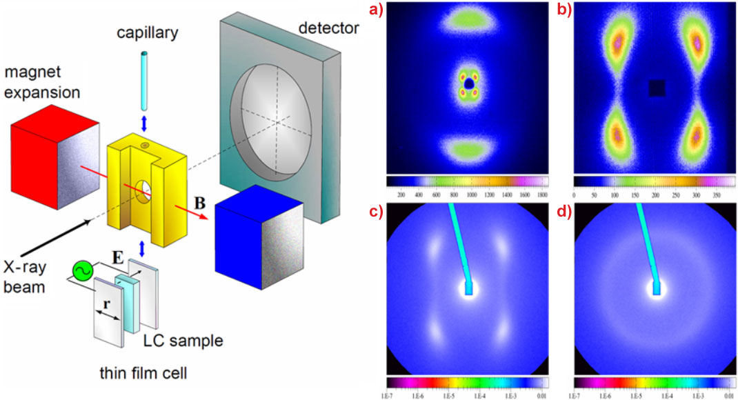A novel nematic liquid crystal phase with ferroelectric response