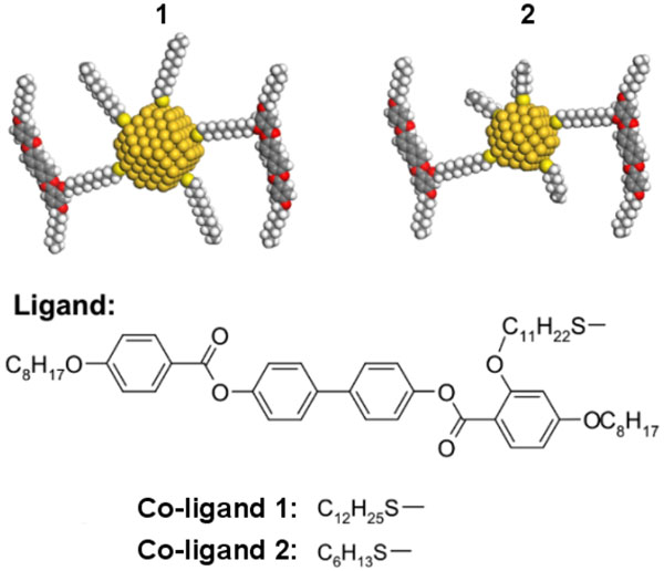 3D Ordered gold strings by coating nanoparticles with mesogens