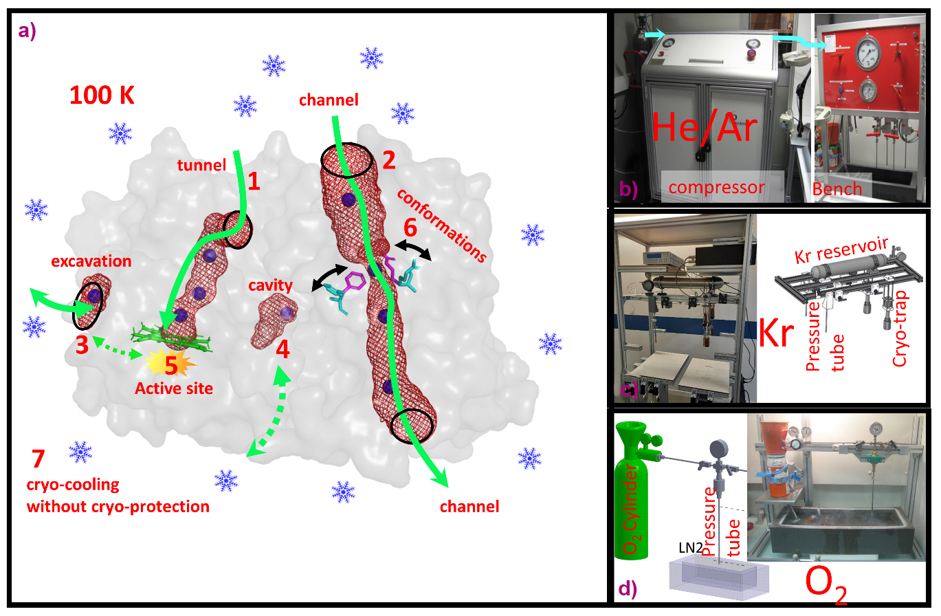 ESRF’s high-pressure freezing laboratory for macromolecular crystallography